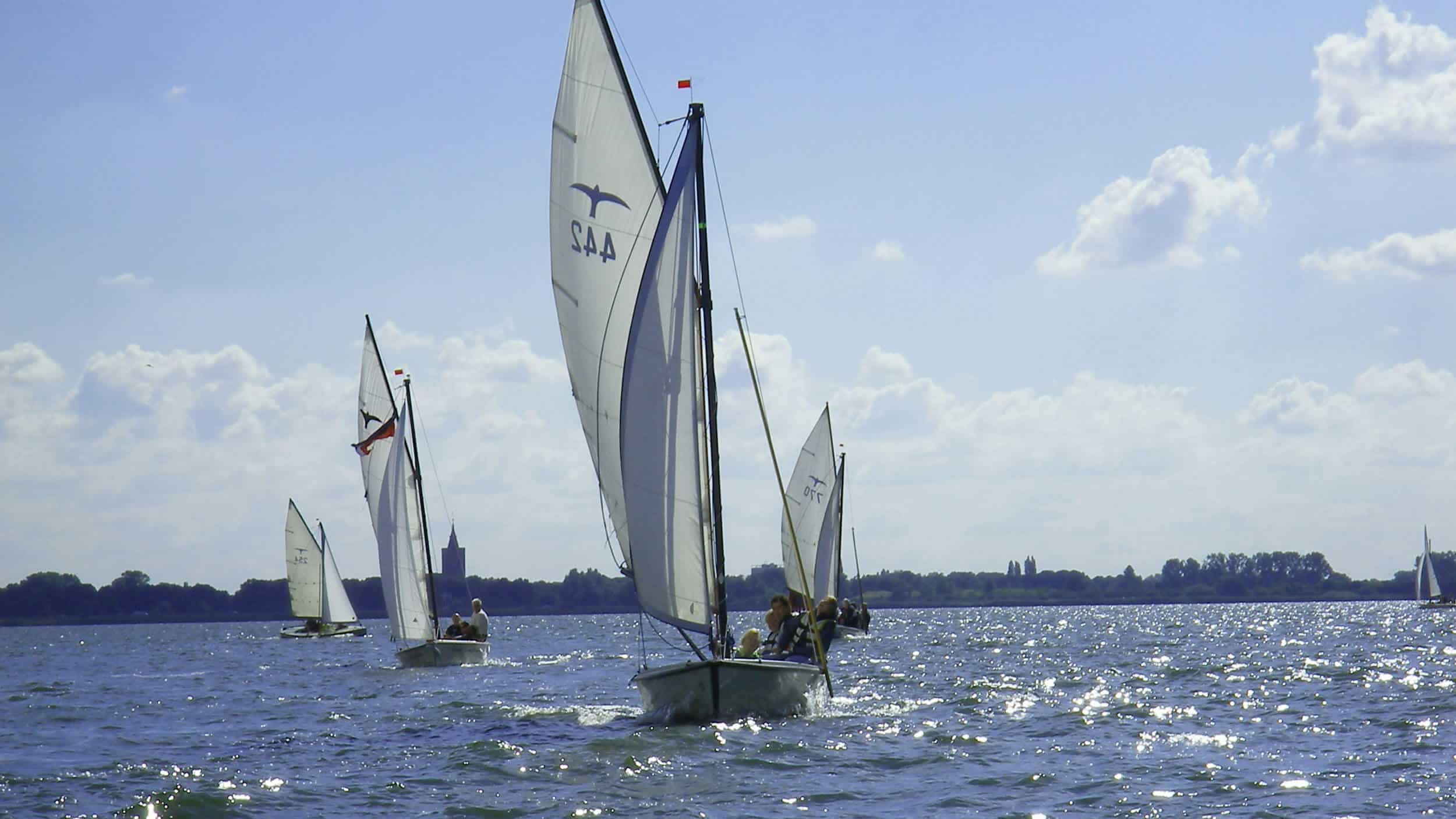 Zeilschool - Haddock Watersport